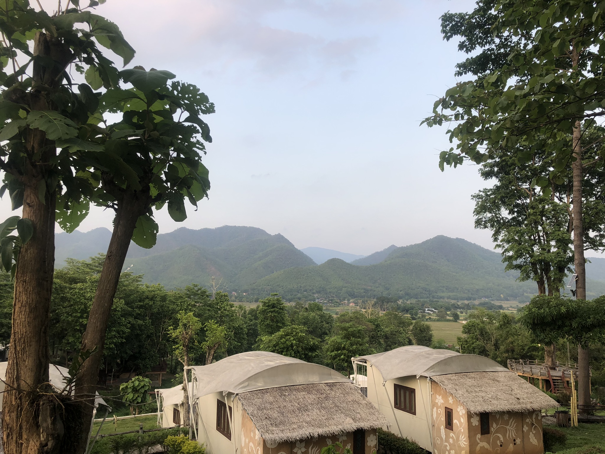 Dagretour: Kies voor een NS dagkaart van 19 euro